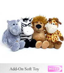 Add-On Soft Toy – www.Roses.Sg