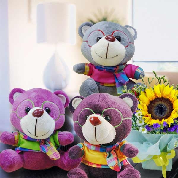 (Choose One) Professor Bear & SunFlower Bouquet – www.Roses.Sg